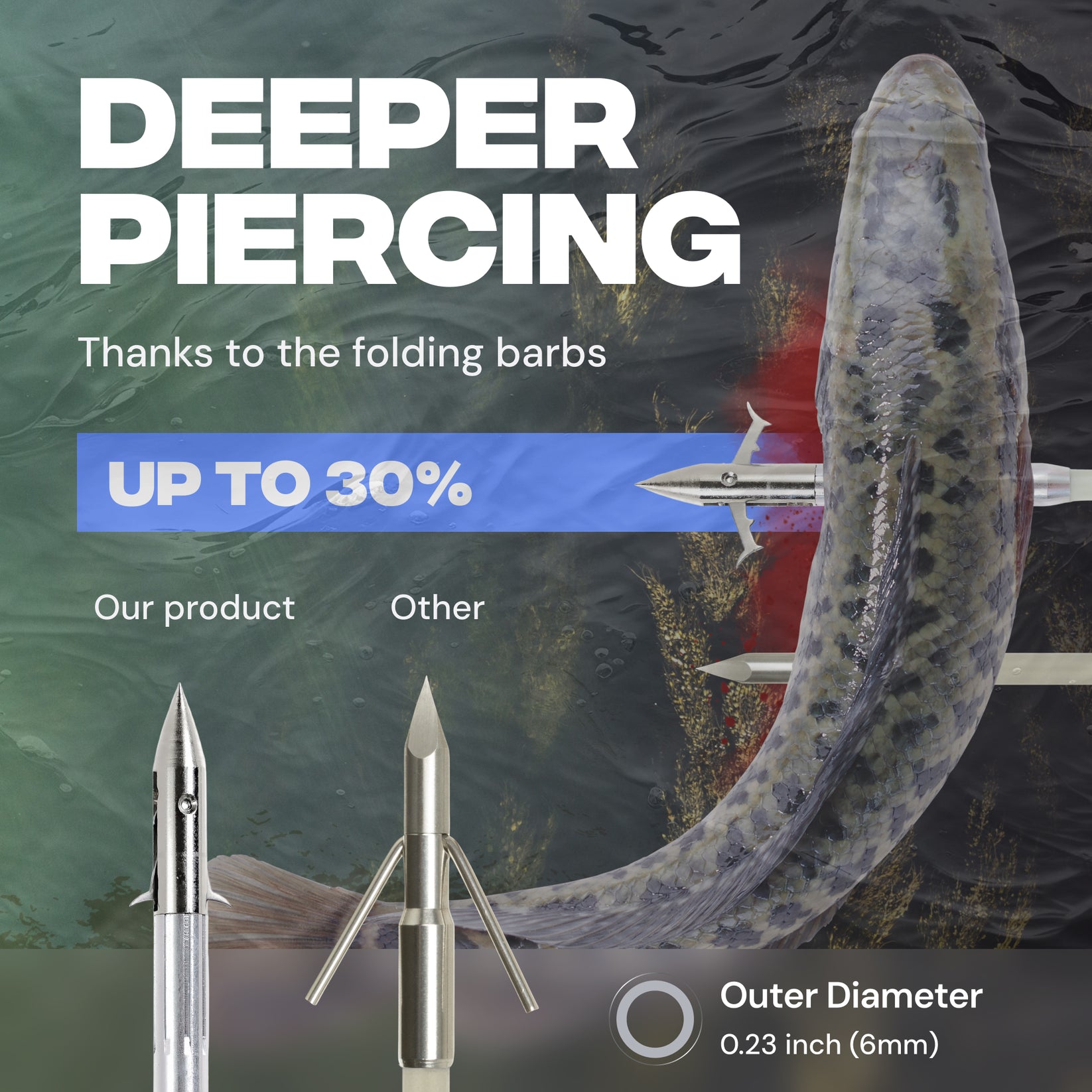 BAT Crossbow Bowfishing Basic Bundle – BALLISTA